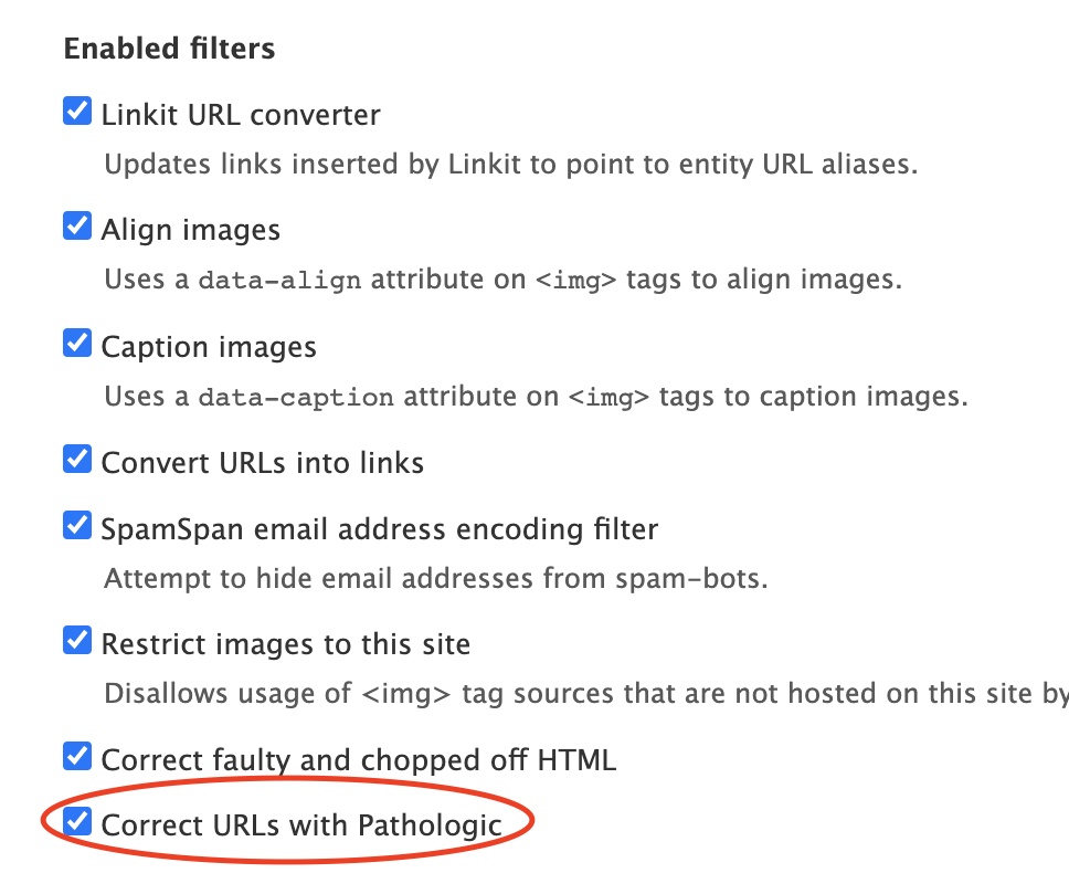 Wrong Prefix for static images in WYSIWYG-Editor [#3273908] | Drupal.org